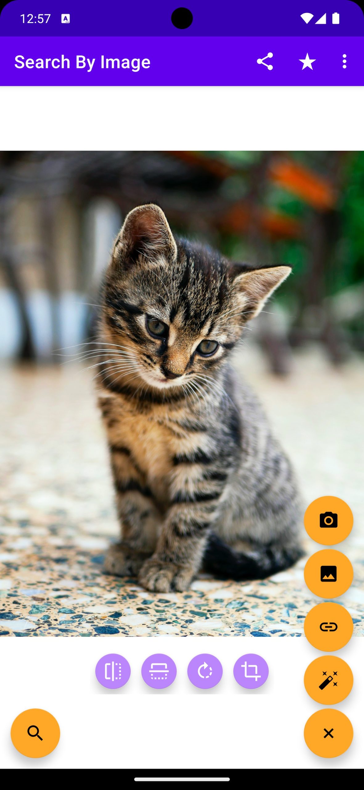 11 Free Apps to Find a Person by Picture | Freeappsforme - Free apps ...